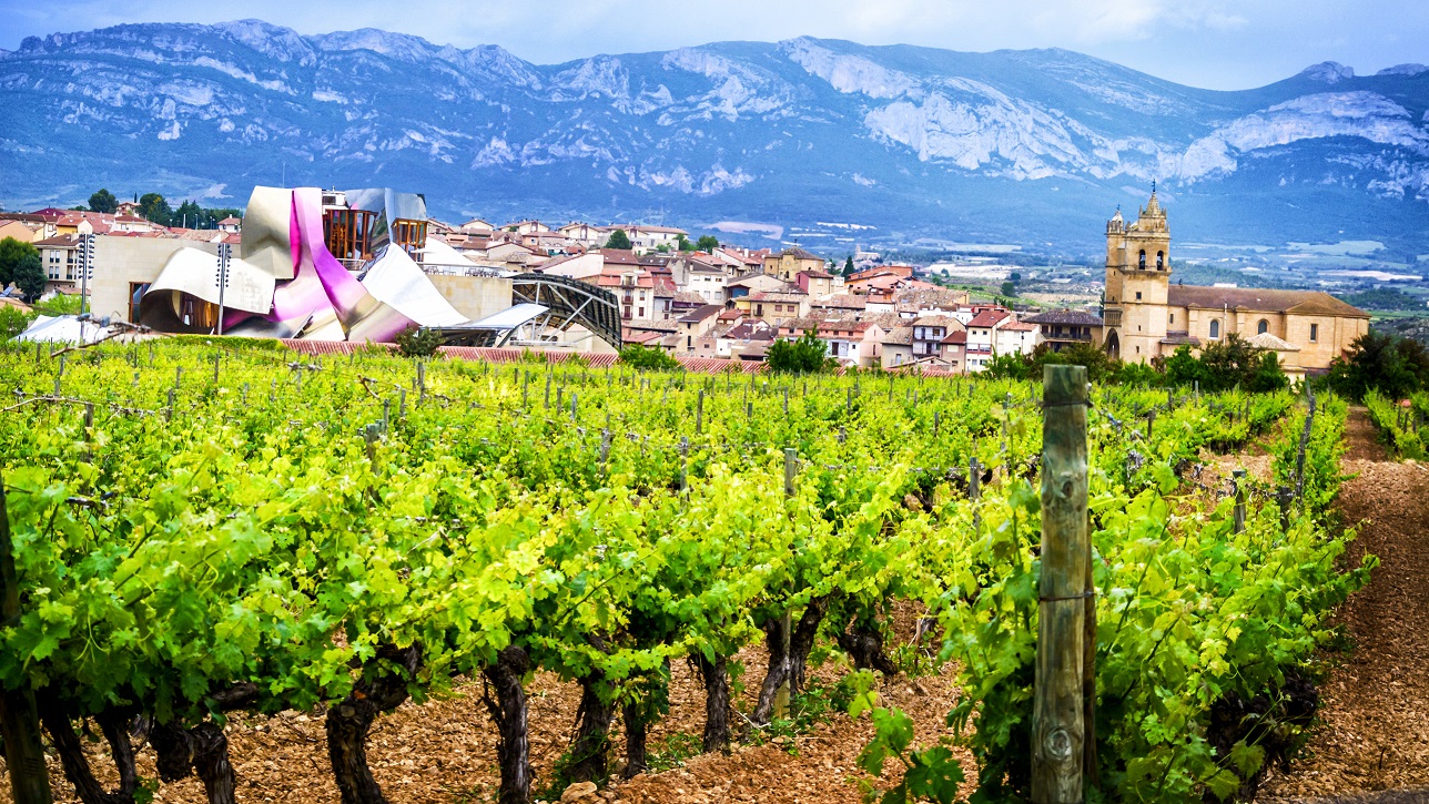 En guide till Riojas röda viner - Vinston